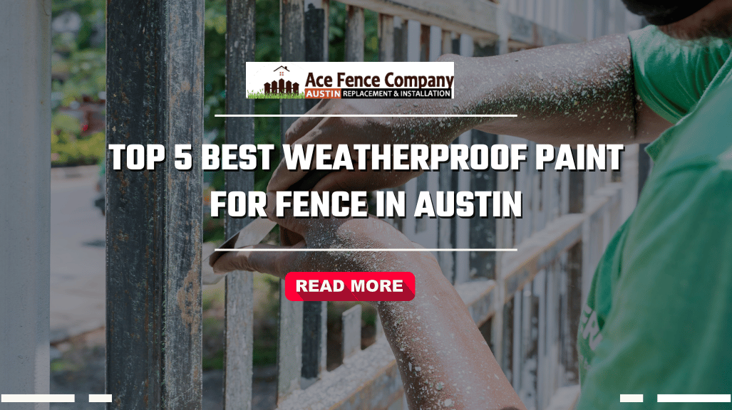 Top 5 Best Weatherproof Paint for Fence in Austin